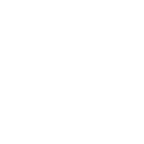 CYBER SECURITY H B